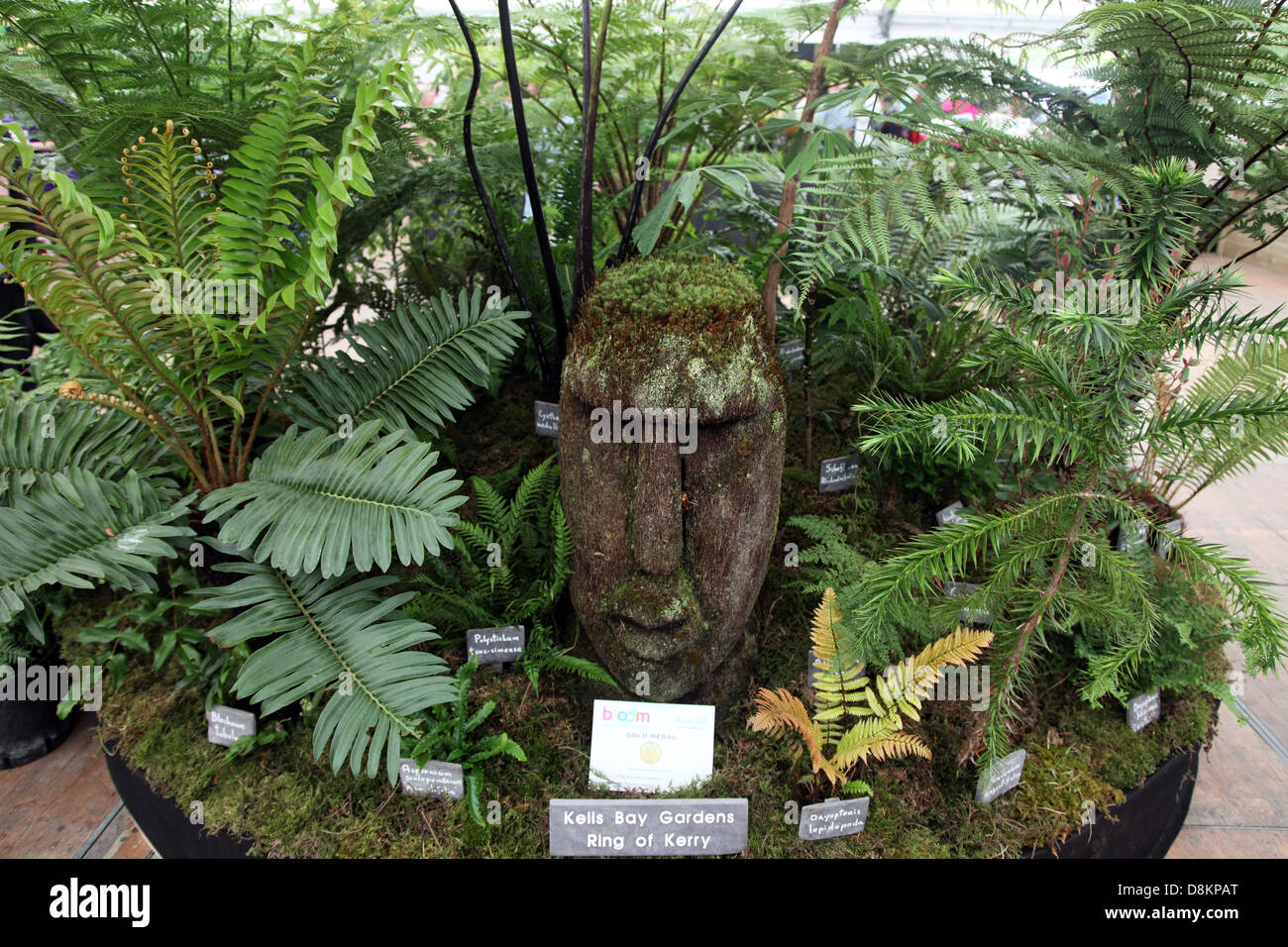 Billy Alexander's Gold Medal winning Kells Bay Gardens display at Bloom ...