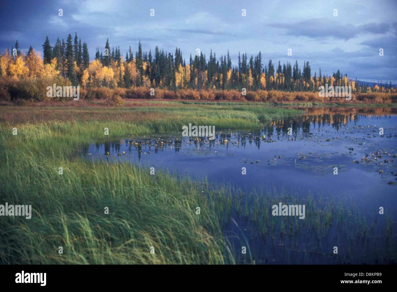 Lake fall colors Stock Photo - Alamy