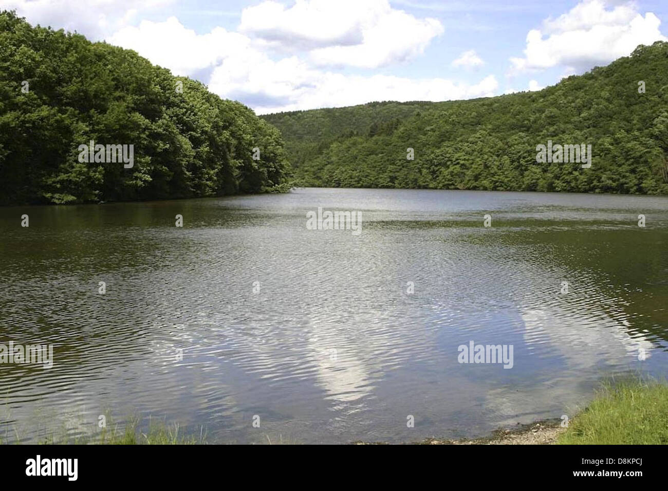 A serene lake located in a protected nature reserve, surrounded by lush ...