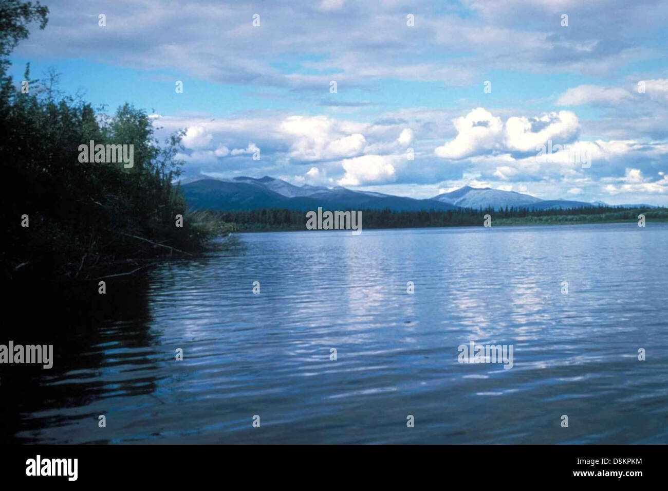 Lake shore in shadow Stock Photo - Alamy