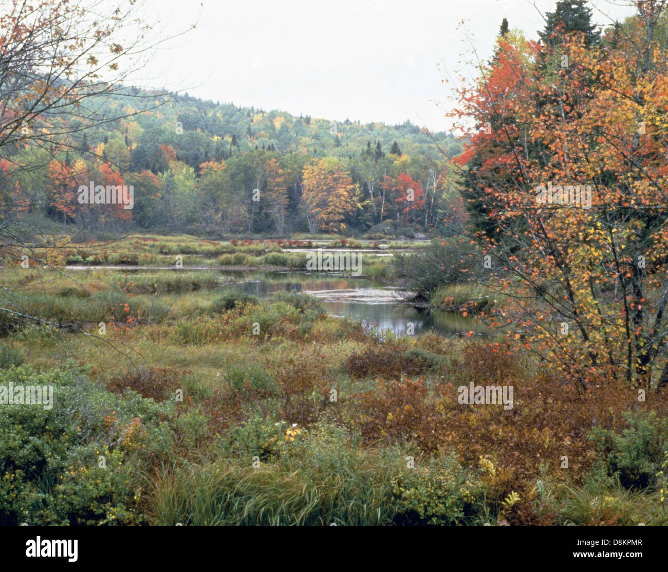 Umbagog national wildlife refuge hi-res stock photography and images ...