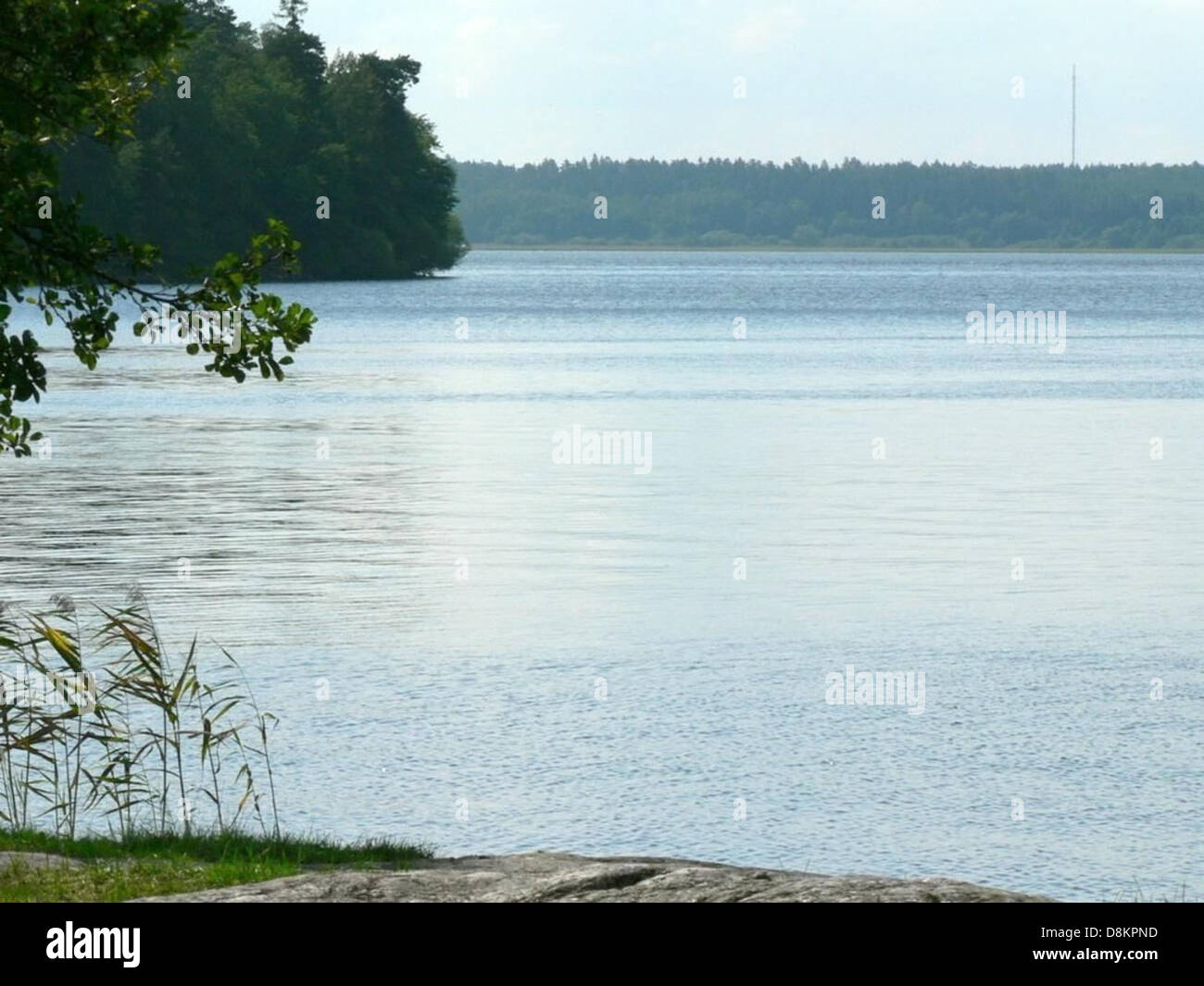 This image shows ripples on the surface of lake water caused by wind ...