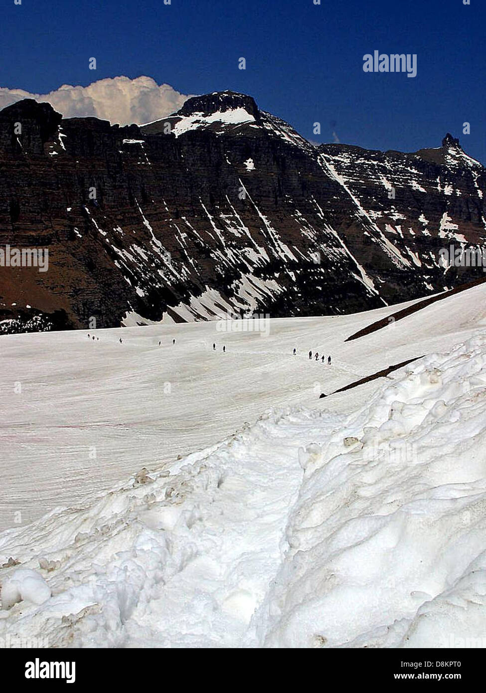 Logan Pass in Glacier National Park during spring, offering a ...