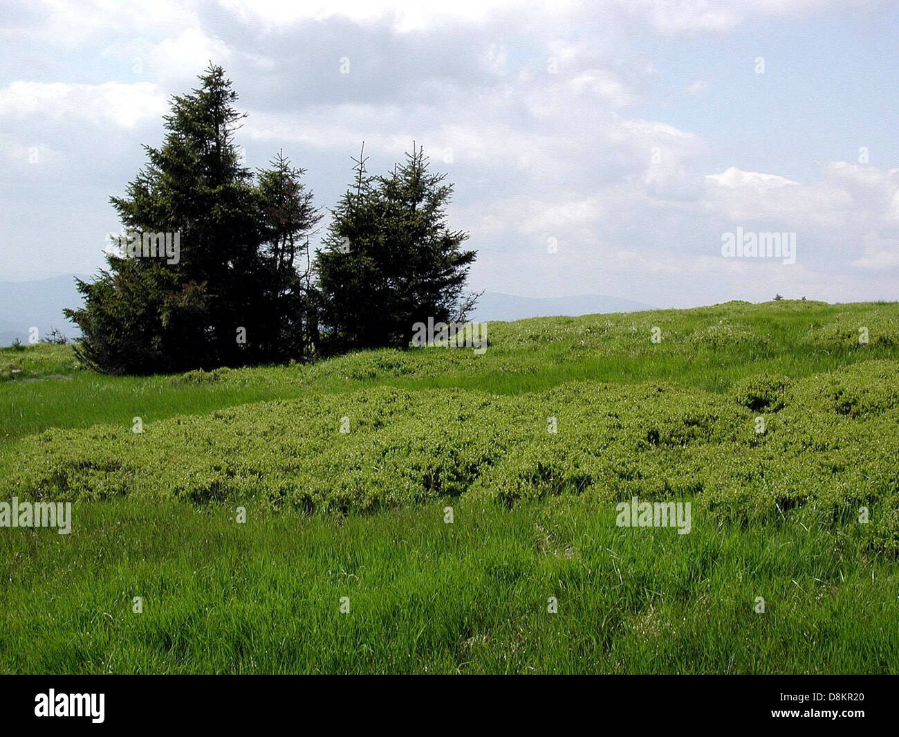 Mountain hill top Stock Photo - Alamy