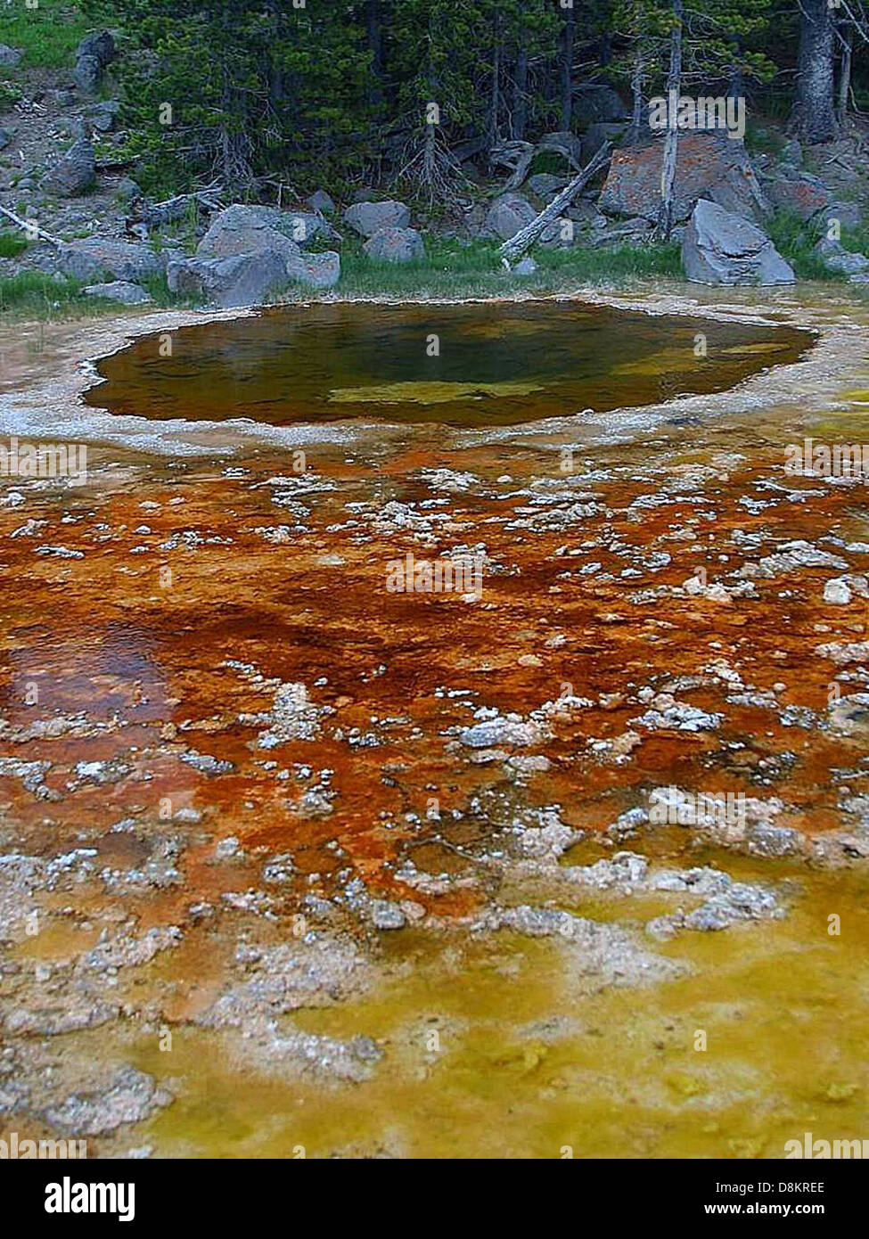 The hydrothermal pools of Yellowstone National Park are renowned for ...