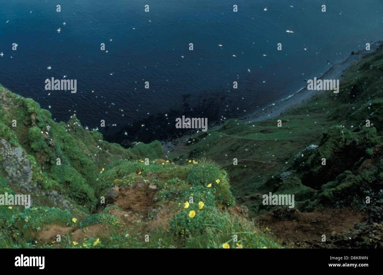 A scenic view of the bluffs on St. George Island, showcasing the rugged ...