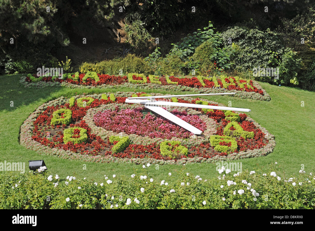 Municipal flower bed hi-res stock photography and images - Alamy