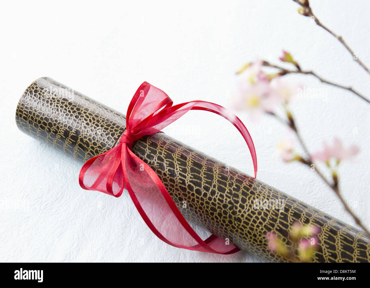 Diploma tube with red ribbon and cherry blossoms Stock Photo - Alamy