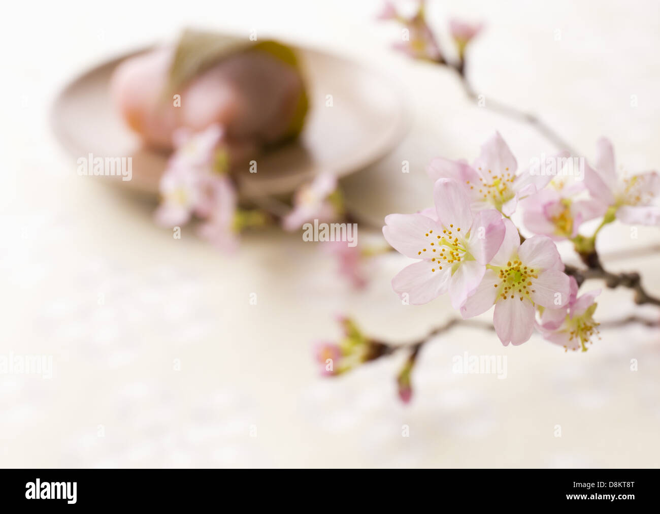 Cherry blossoms and sakura mochi (cherry flavored soft sweet rice cake ...