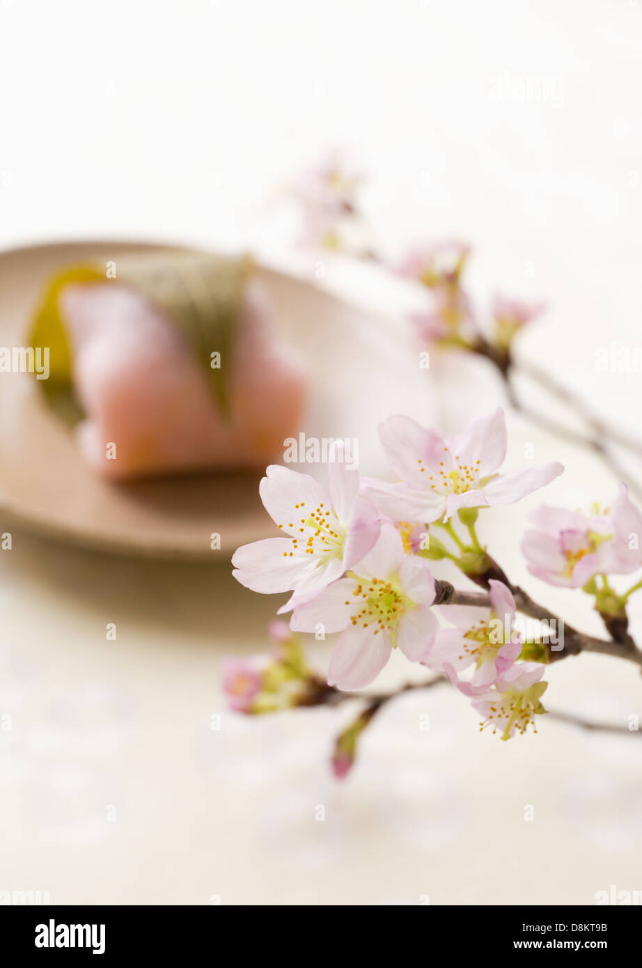 Cherry blossoms and sakura mochi (cherry flavored soft sweet rice cake ...