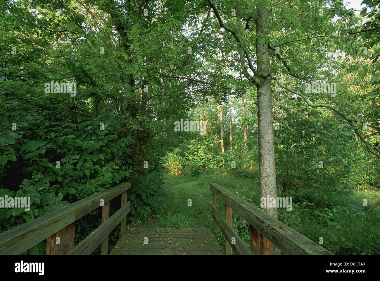 A portion of one of the foot trails with a pedestrian bridge Stock ...