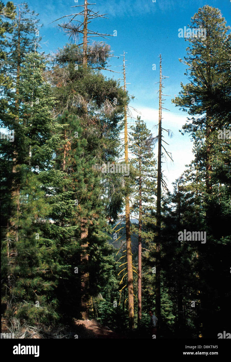 Bear valley national wildlife refuge hi-res stock photography and ...