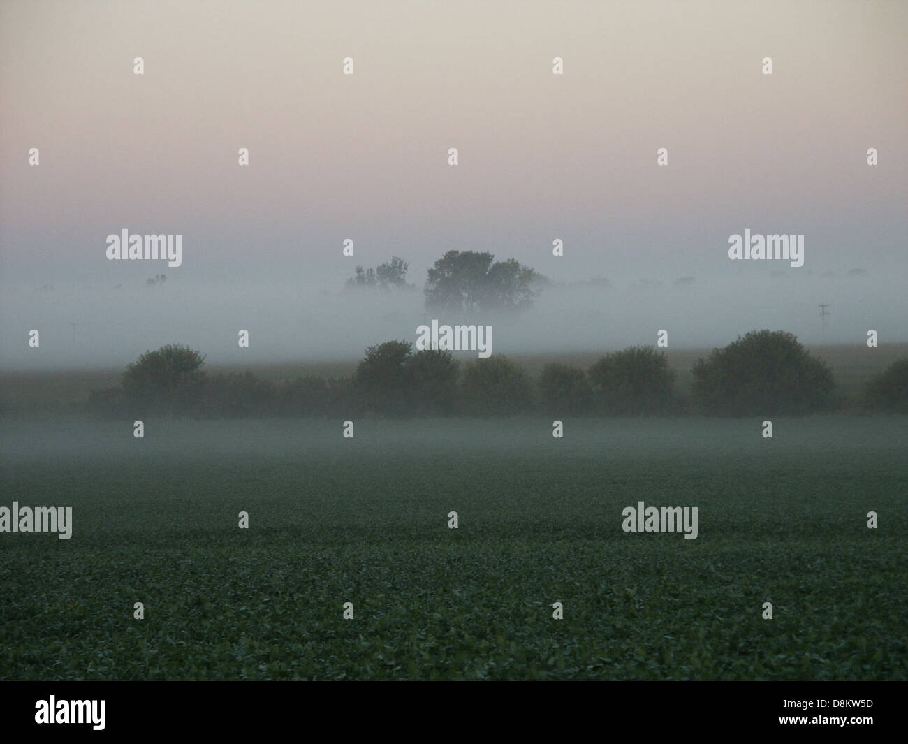 Early morning fog Stock Photo - Alamy