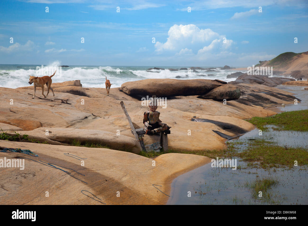 Yala national park beach hi-res stock photography and images - Alamy