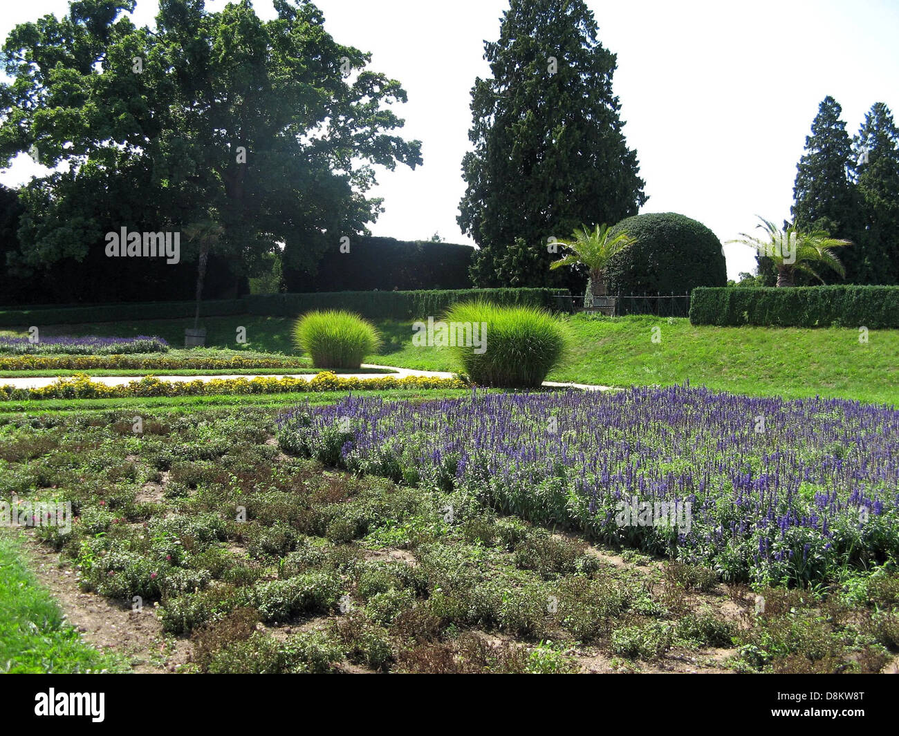 This image showcases a flower garden in a park, with a variety of ...