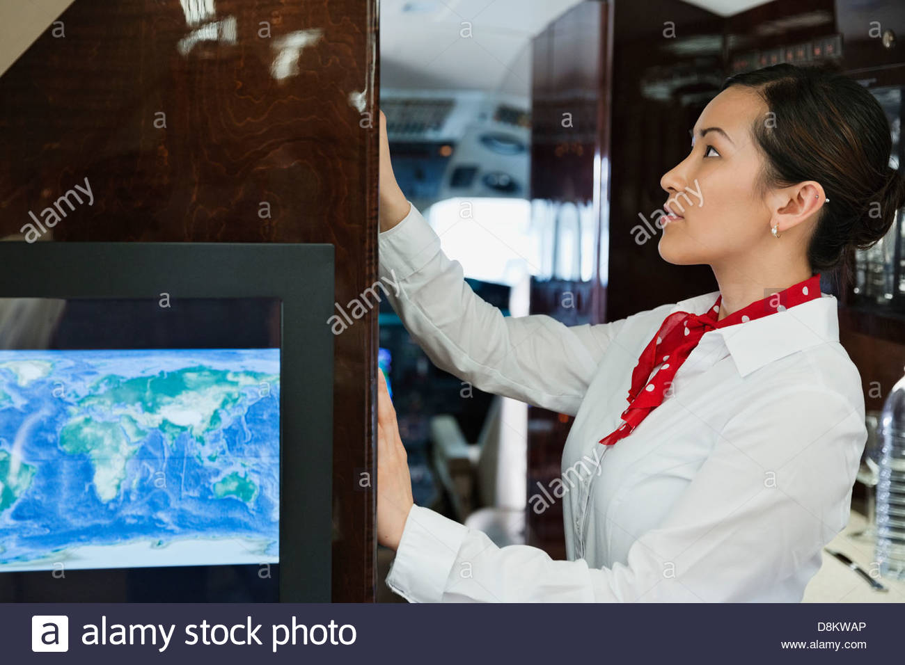 Professional flight attendant hi-res stock photography and images - Alamy