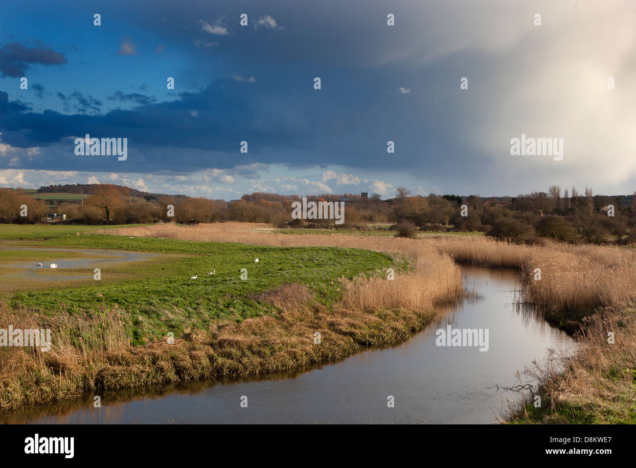 Cley Marshes Nature Reserve on the North Norfolk coast Stock Photo - Alamy