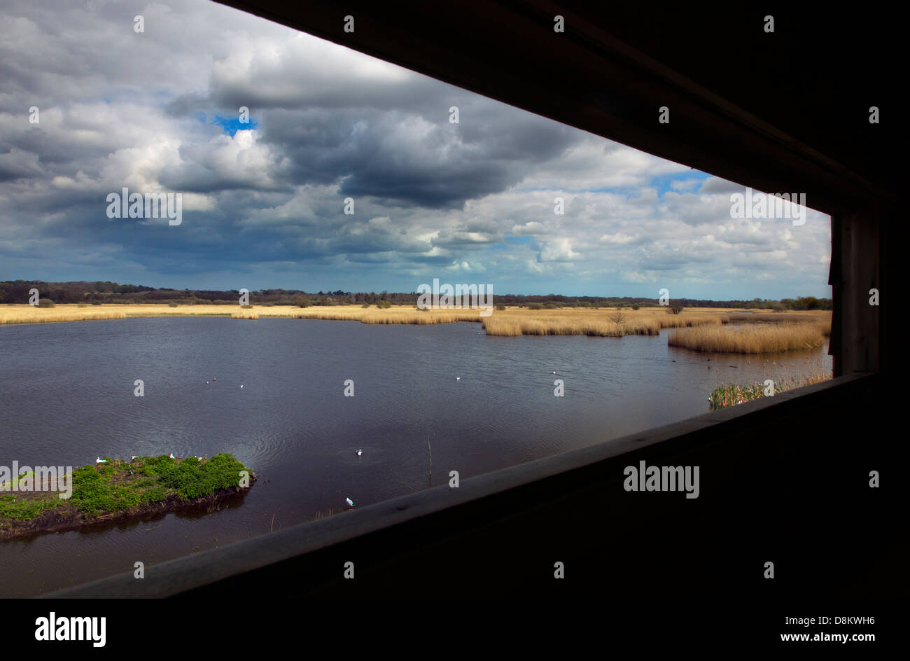 View from Tower Hide RSPB Reserve at Strumpshaw Fen Norfolk Broads ...