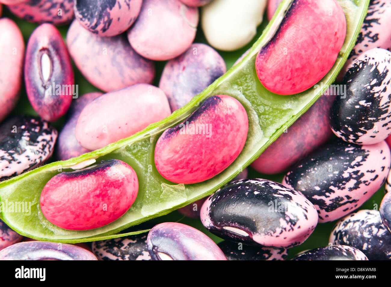 Motley beans hi-res stock photography and images - Alamy