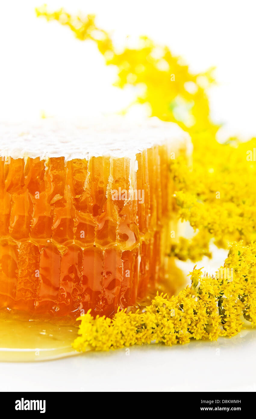 sweet honeycomb with honey and yellow flower Stock Photo - Alamy