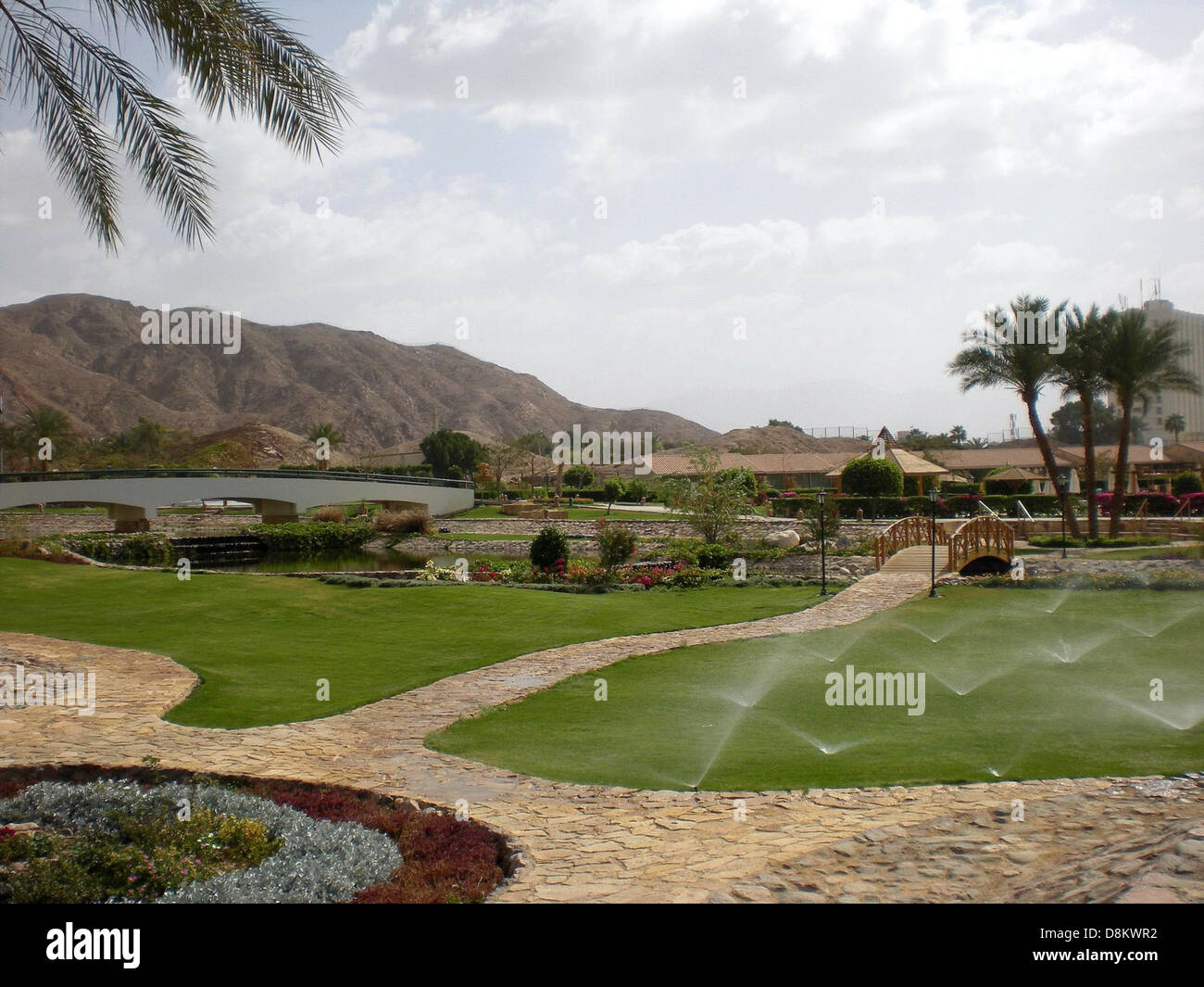 This image features a lush patch of grass in a park, highlighting its ...