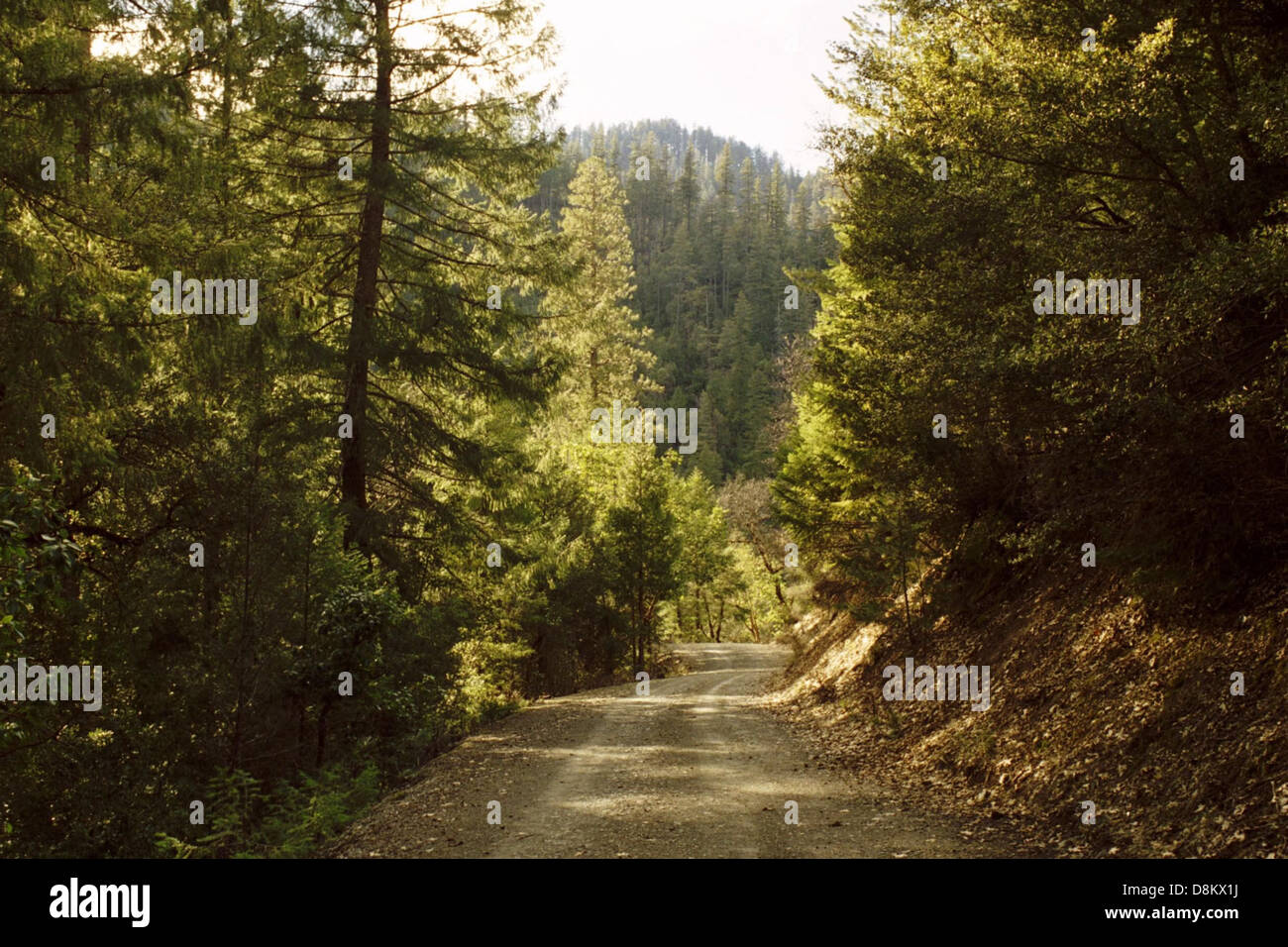 Klamath national forest Stock Photo - Alamy