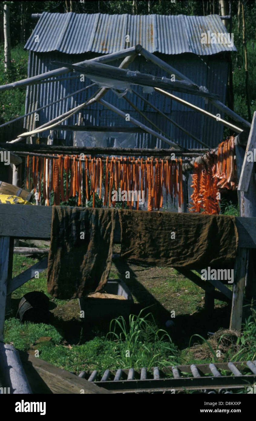 Salmon drying on racks hi-res stock photography and images - Alamy