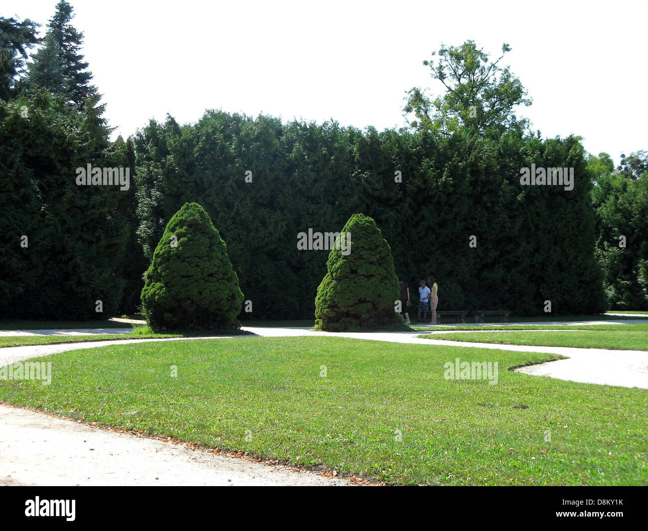 A group of trees that have been pruned or shaped into specific forms ...