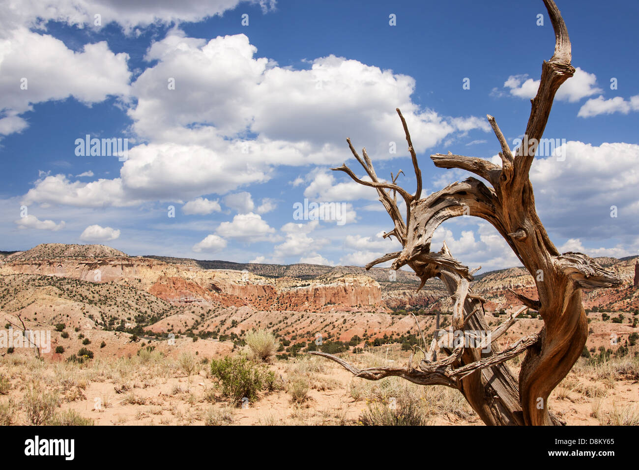 Colorful landscape with dead tree in New Mexico near Ghost Ranch Stock ...