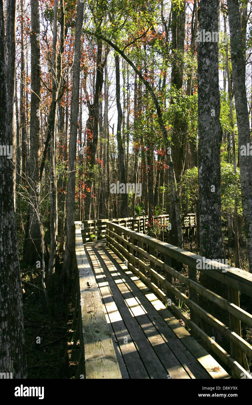 This image shows a narrow, rustic bridge crossing a small path in a ...