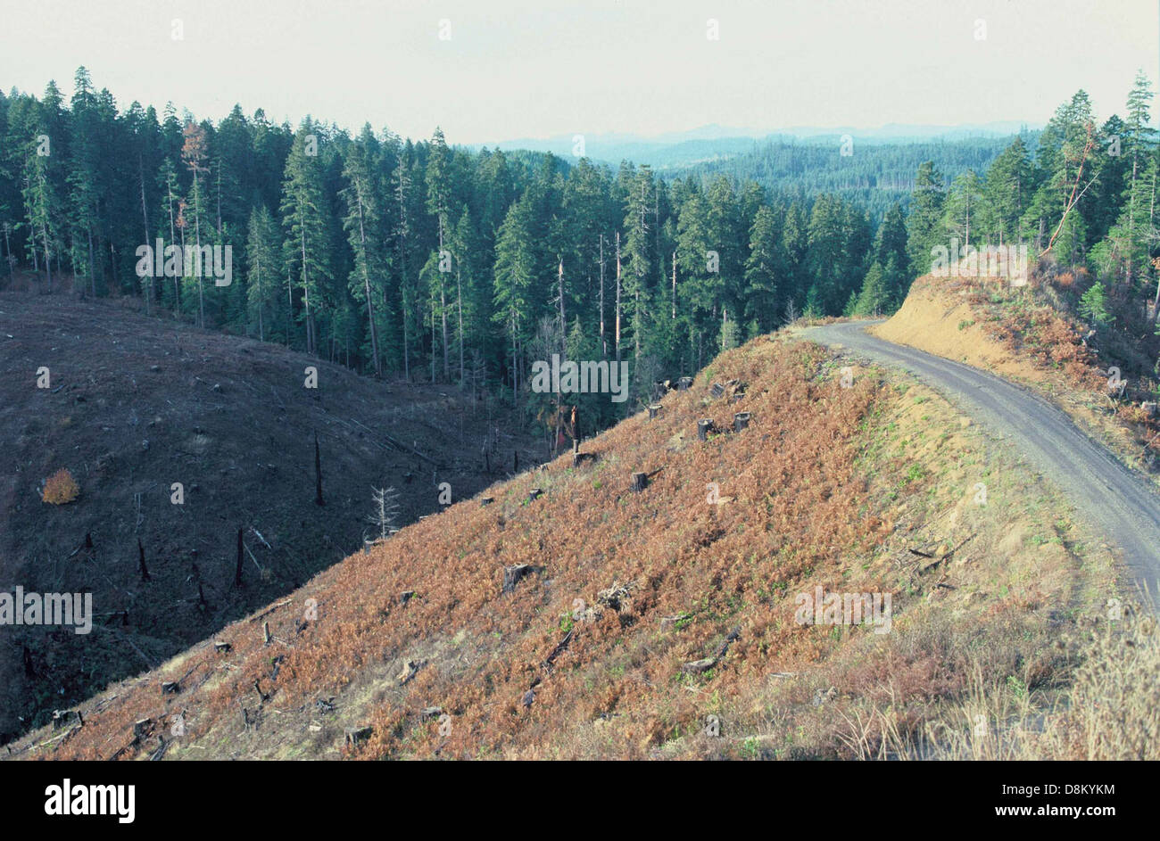 Cleared forest erosion hi-res stock photography and images - Alamy