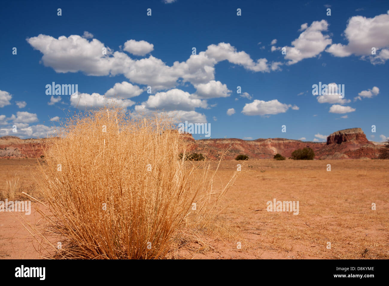 Ghost ranch hi-res stock photography and images - Alamy