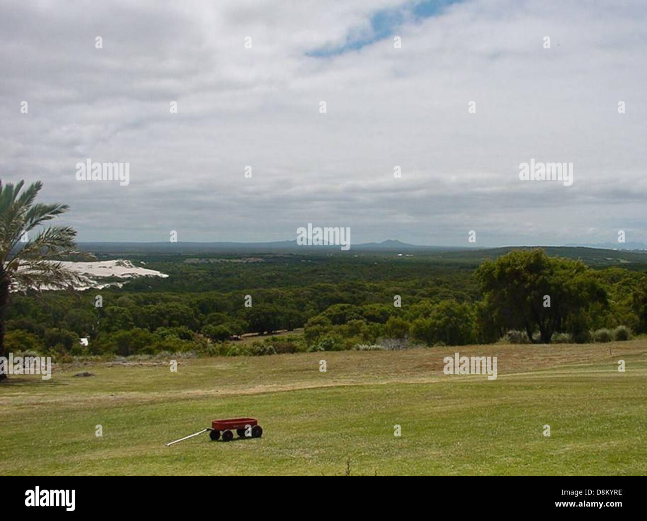 Tropical fields covered in lush green vegetation, with a vibrant ...