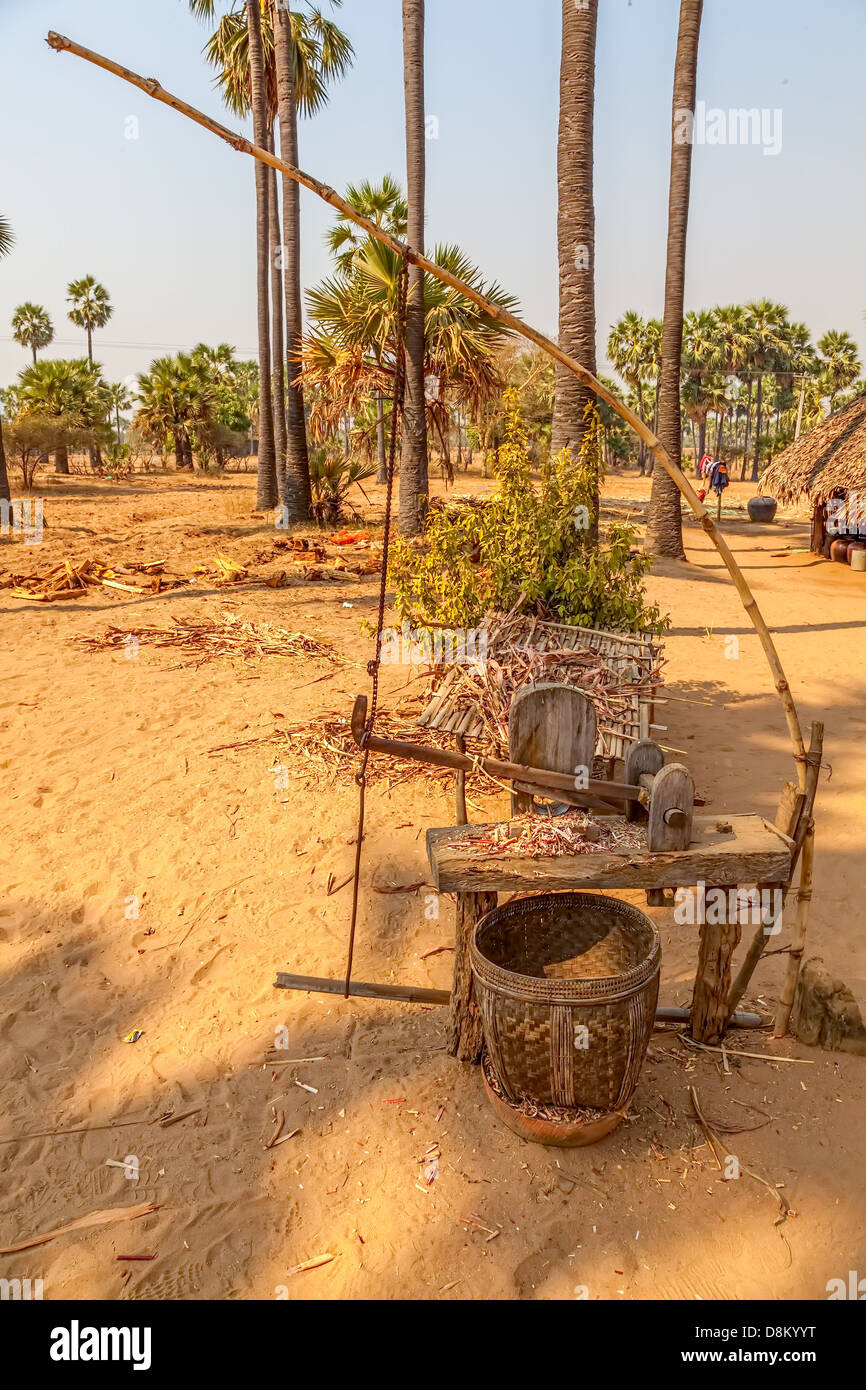 Tool for shredding sugar cane Stock Photo - Alamy