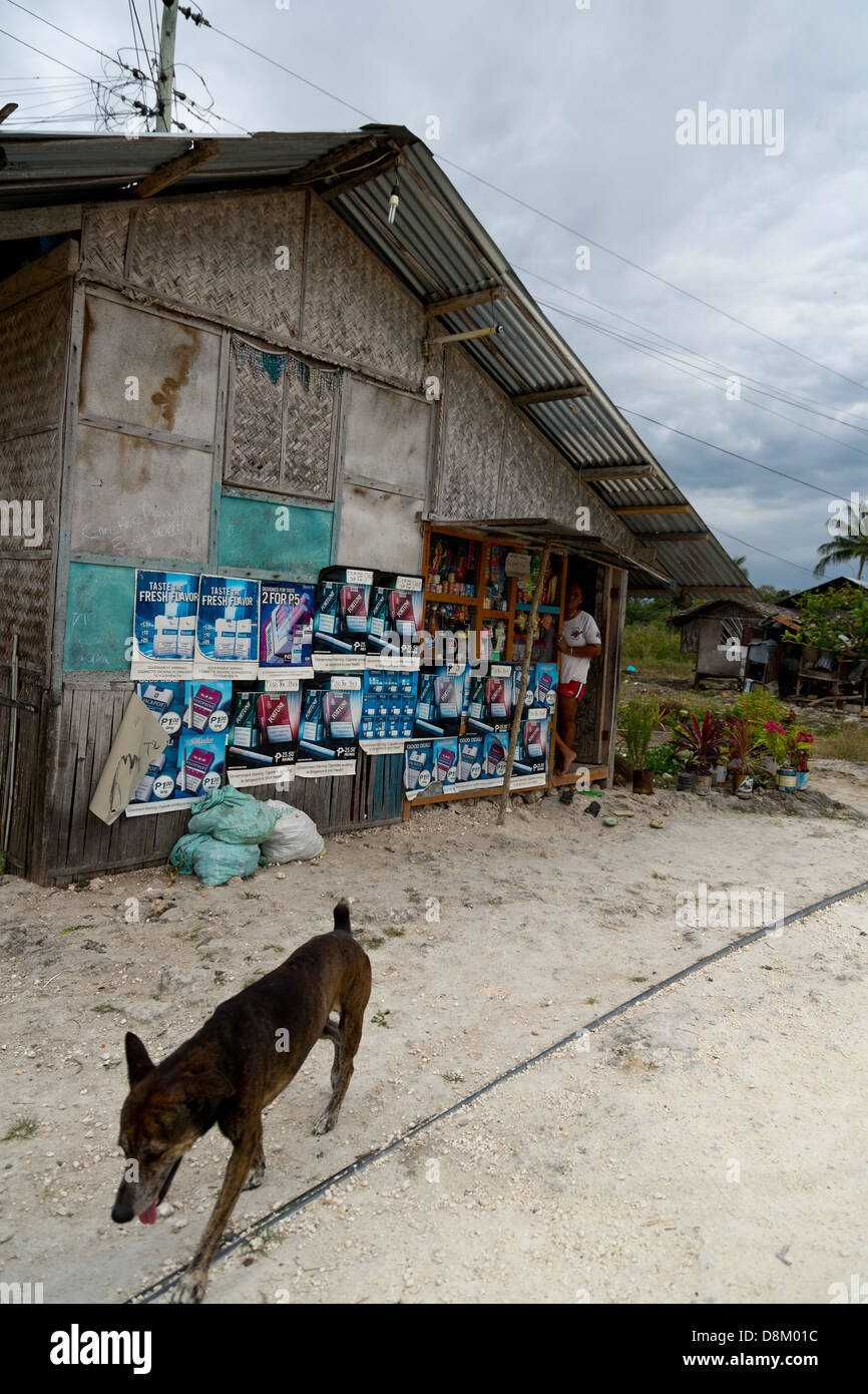 Stray Dog near Moalboal on Cebu Island, Philippines Stock Photo - Alamy