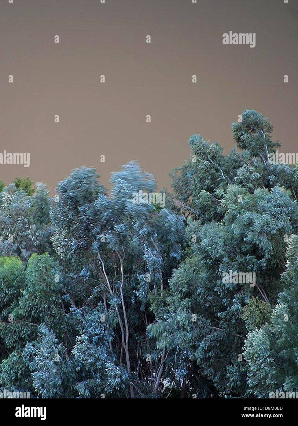 This image depicts smoke carried by the wind, creating a dynamic and ...