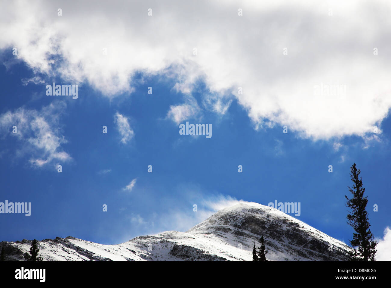 Strong r hi-res stock photography and images - Alamy