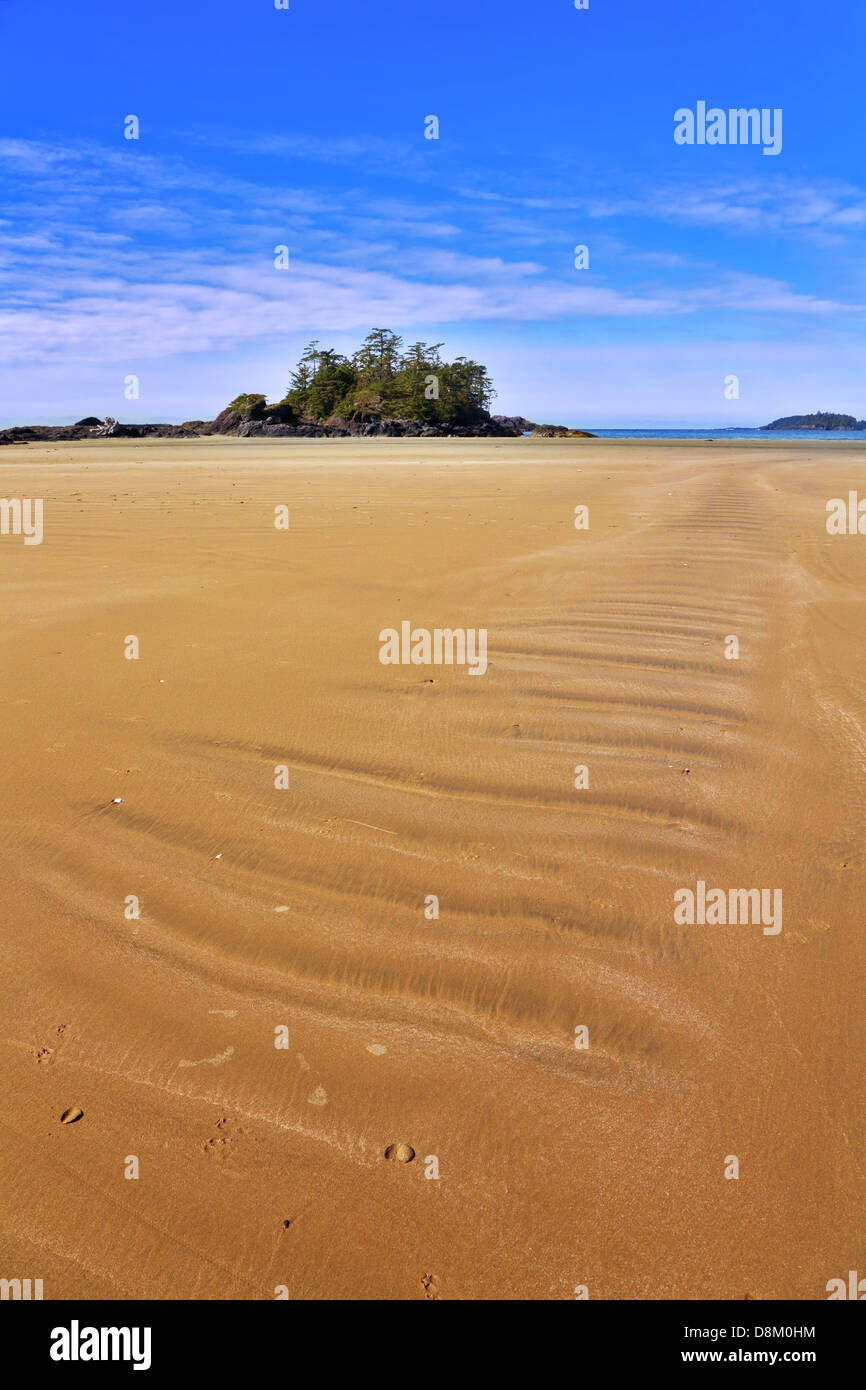 Huge sandy ocean beach Stock Photo - Alamy