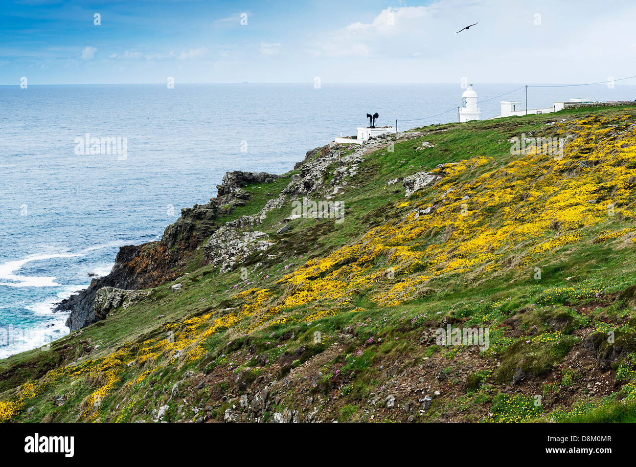 Pendeen watch lighthouse in hi-res stock photography and images - Alamy