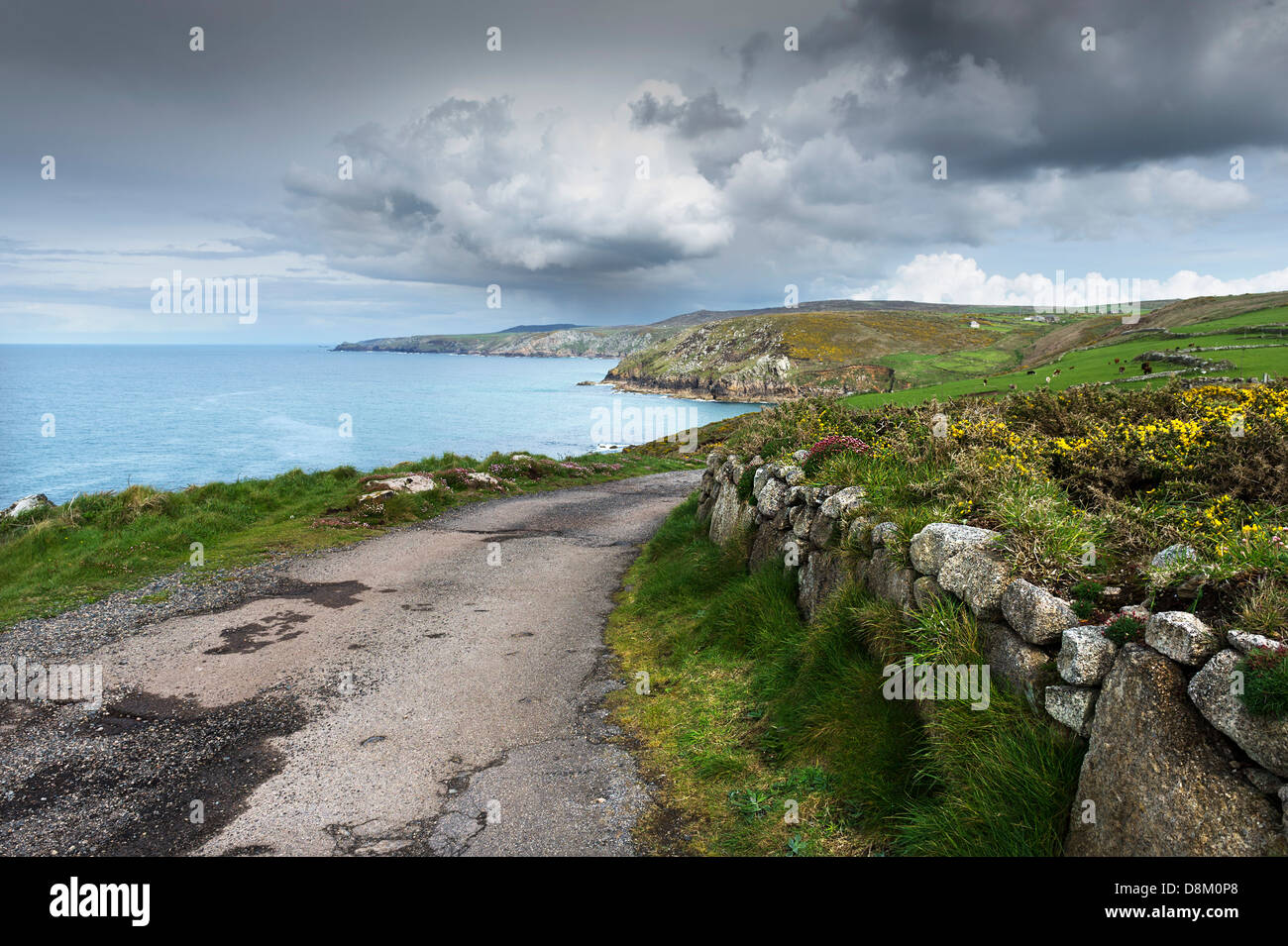 The coast of Pendeen in Cornwall Stock Photo - Alamy