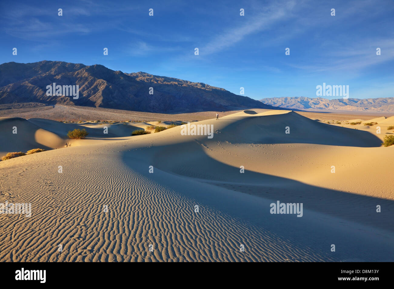 The subtle ripples in the sand Stock Photo - Alamy