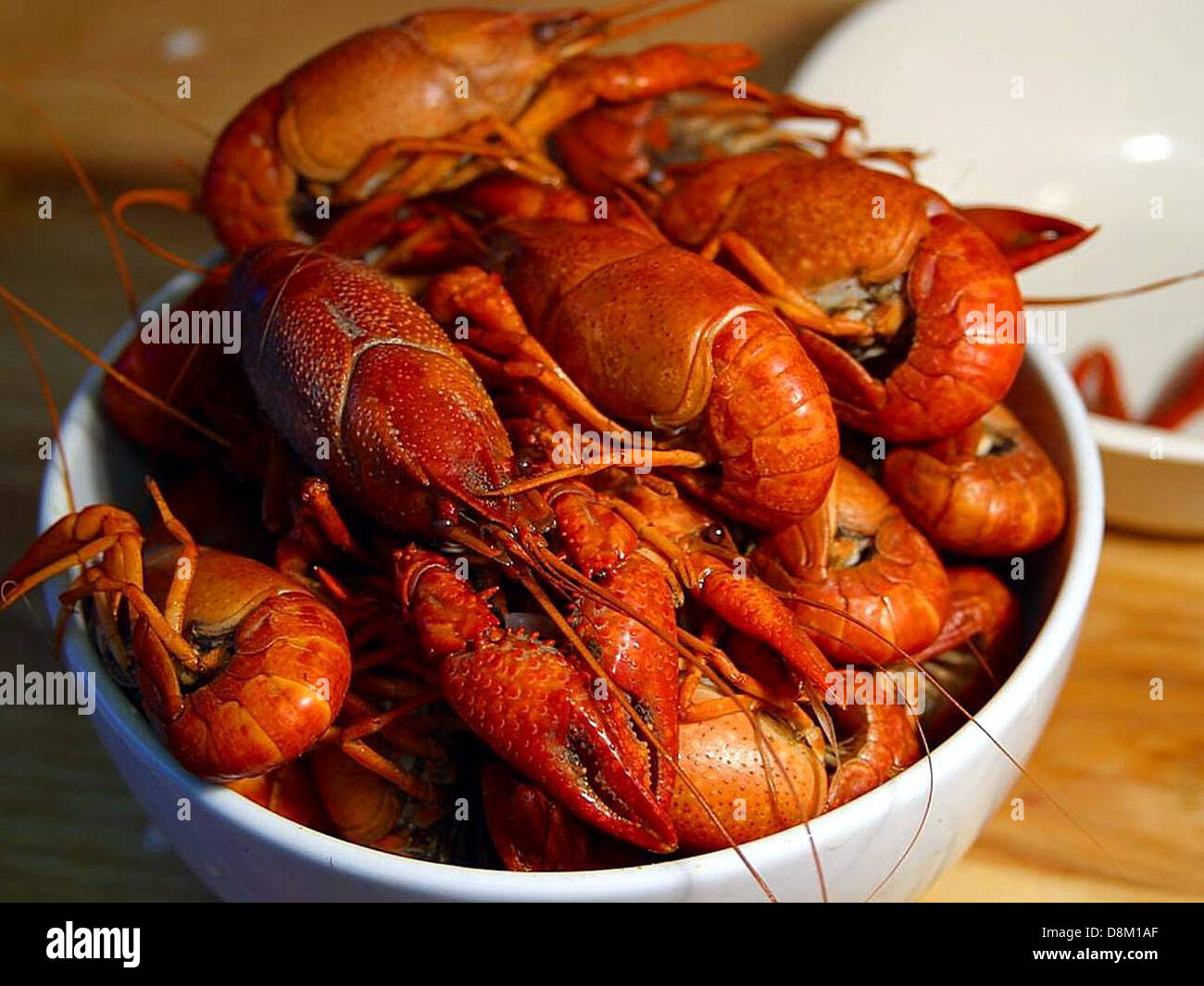 Various claws hi-res stock photography and images - Alamy
