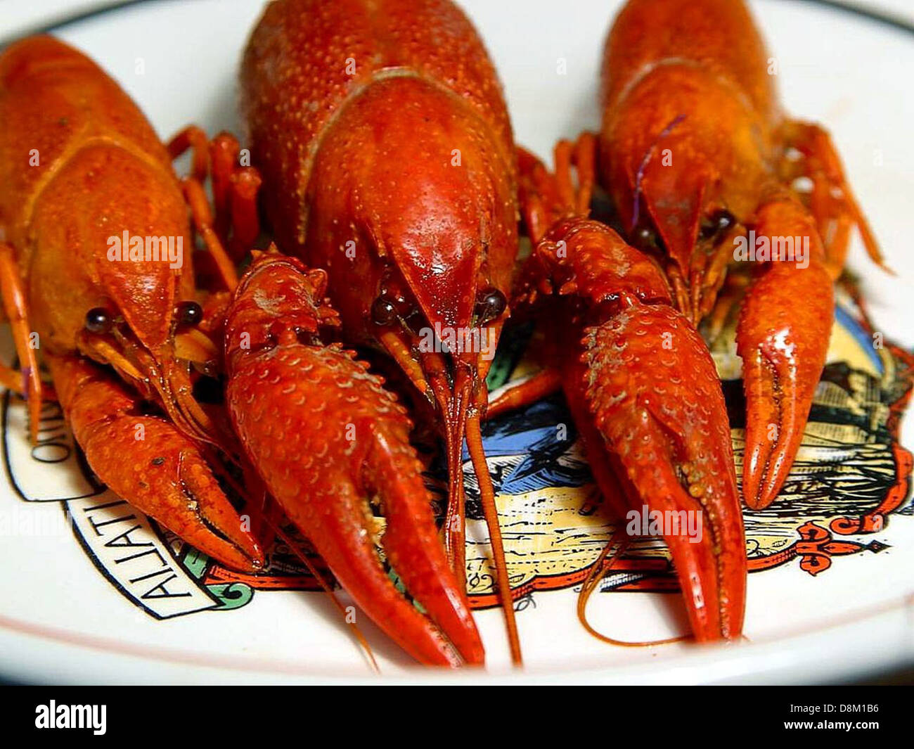A delicious crawfish dinner served with traditional accompaniments. The ...