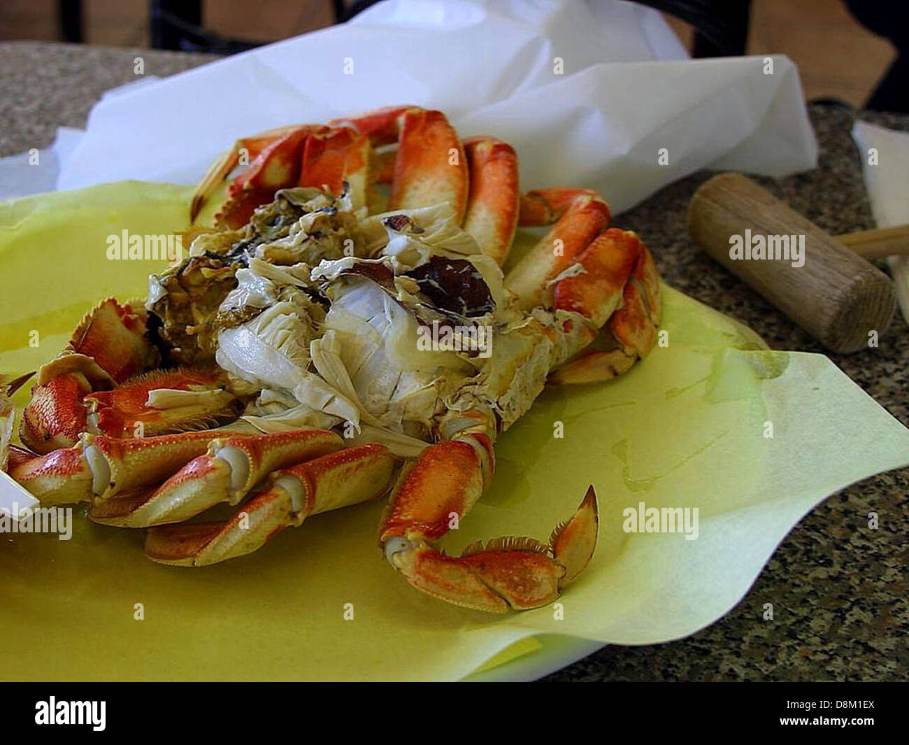 This image shows a group of Dungeness crabs, a popular species known ...