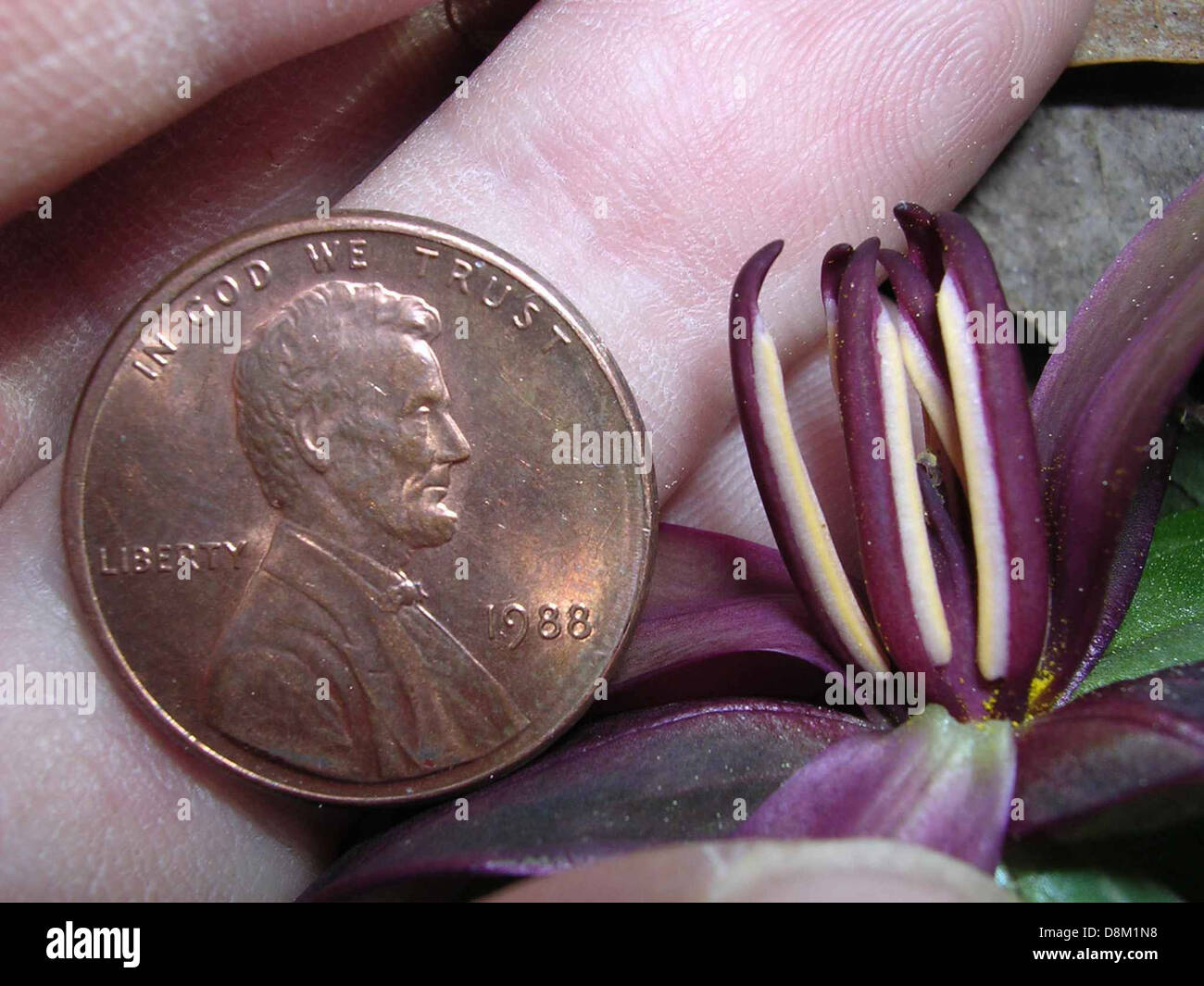 Relict features hi-res stock photography and images - Alamy