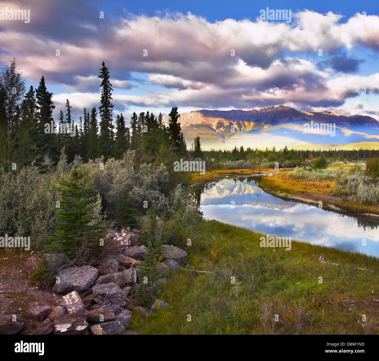 Magnificent morning in reserve in Canada Stock Photo - Alamy