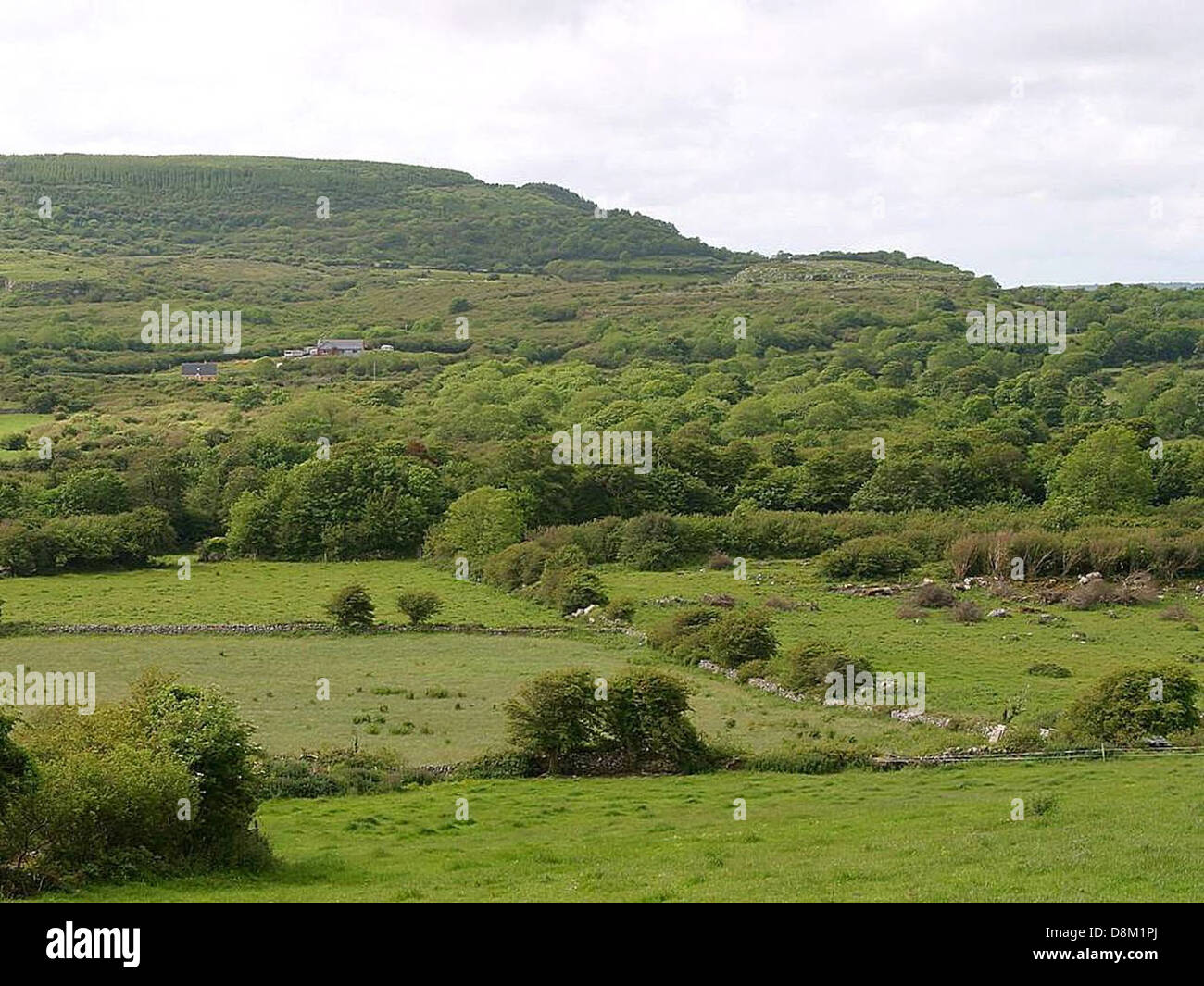 A scenic view of the fields, hills, and forests of Ireland, capturing ...