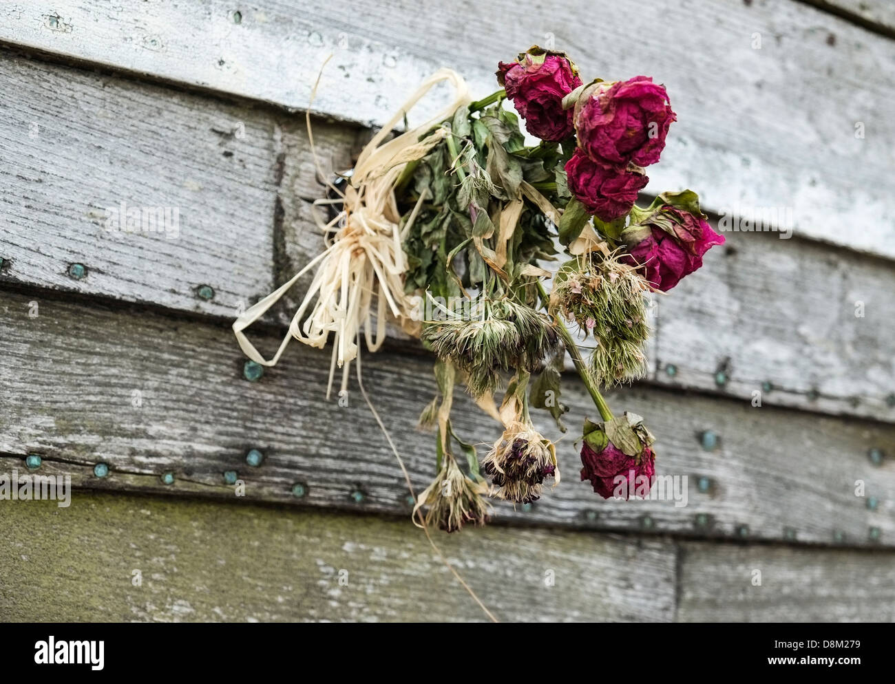 A bunch of dead roses attached to a wooden boat Stock Photo - Alamy