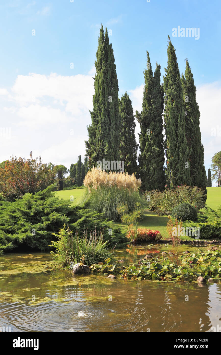 Slender cypress trees around the pond Stock Photo - Alamy