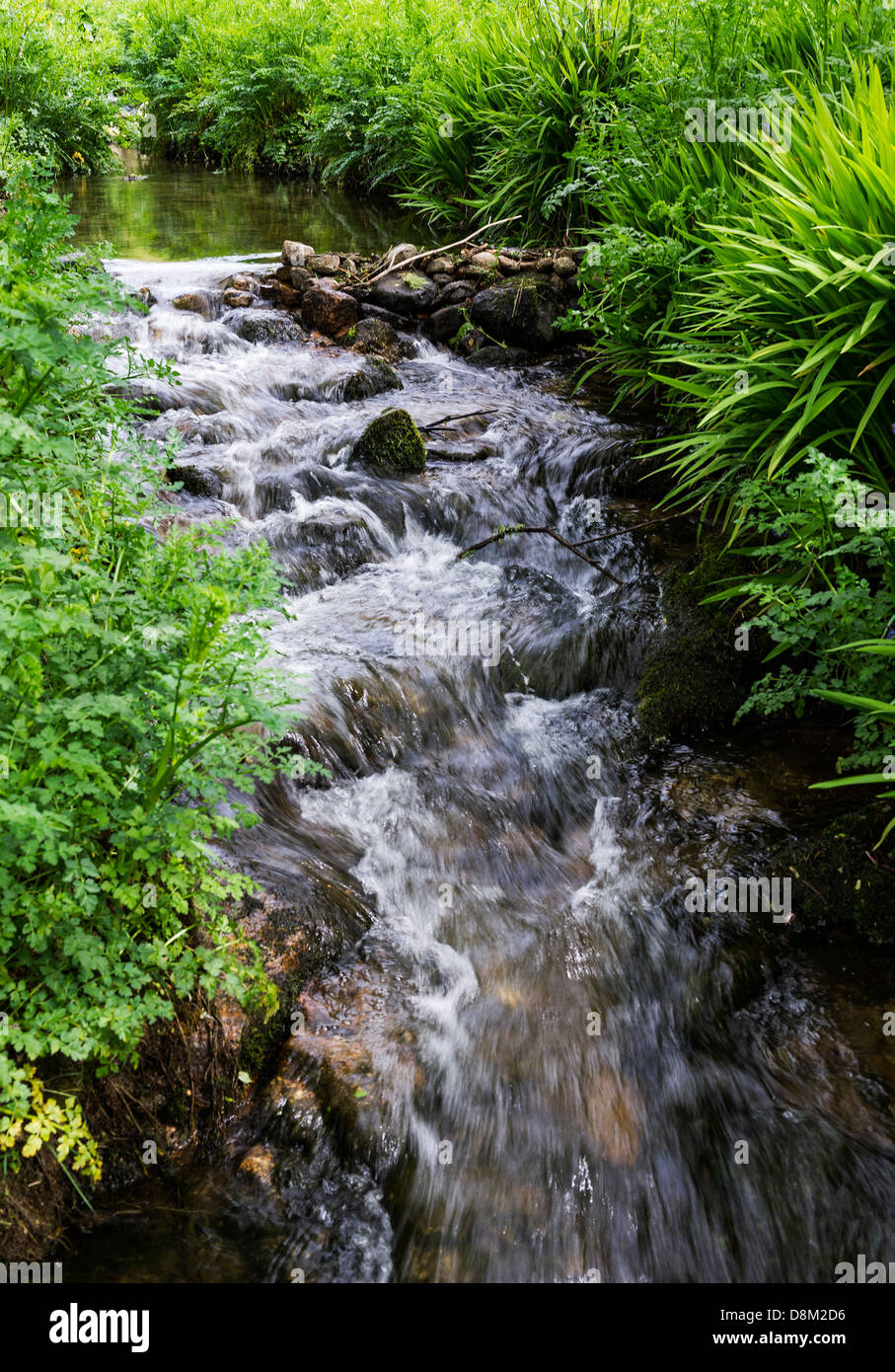 A fast flowing stream running through Cot Valley in Cornwall Stock ...